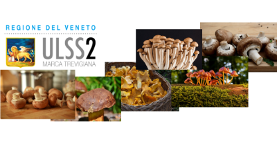 Comune di Loria - Comune di Loria